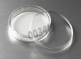 Insert membrane Transwell® in transparent polycarbonate, Ø inserts 75 ...
