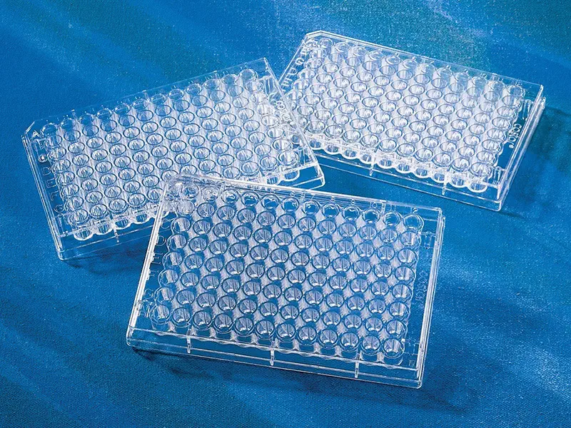 Microplaca 96 Pocillos ELISA Corning Clara Alta Fijaci n Equipo De Microplaca 96 Pocillos ELISA Corning Clara Alta Fijaci n Equipo De