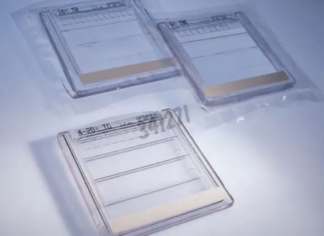 Gel preparado tris-glicina 10-20 % para proteínas 5-100 kDa - espesor ...