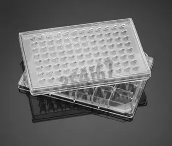 Zellinvasionskammer Corning FluoroBlok™ 96 Wells 8 µm (Tumor ...