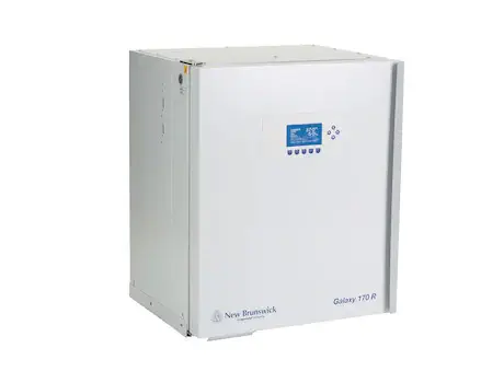 INCUBATEUR A CO2 GALAXY 170R AVEC CONTROLE D'O2 1-19%** - Matériel de ...
