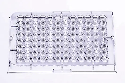 Quali - Microtest - Plates, 96 Well polystyrene - MTP - plate, U - Form